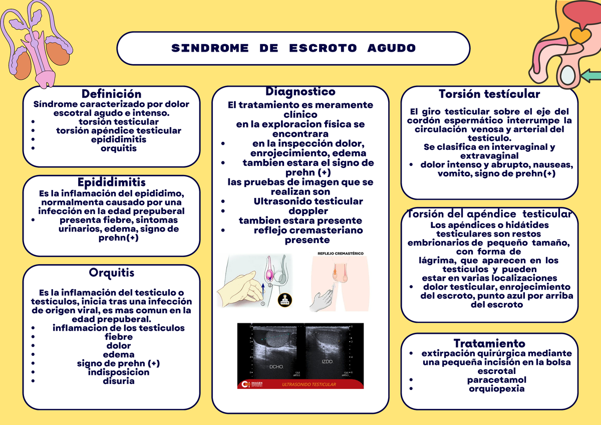 Sindrome de escroto agudo - Síndrome caracterizado por dolor escotral ...