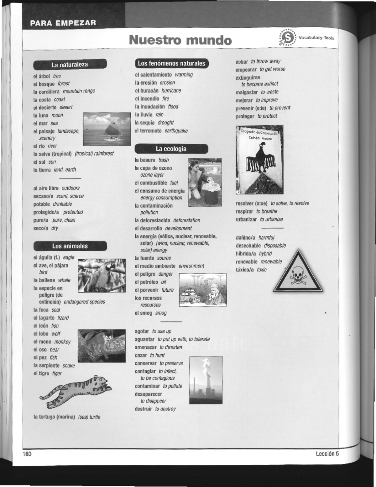 Vocabulario - Imagina 5 - Medio Ambiente - Studocu