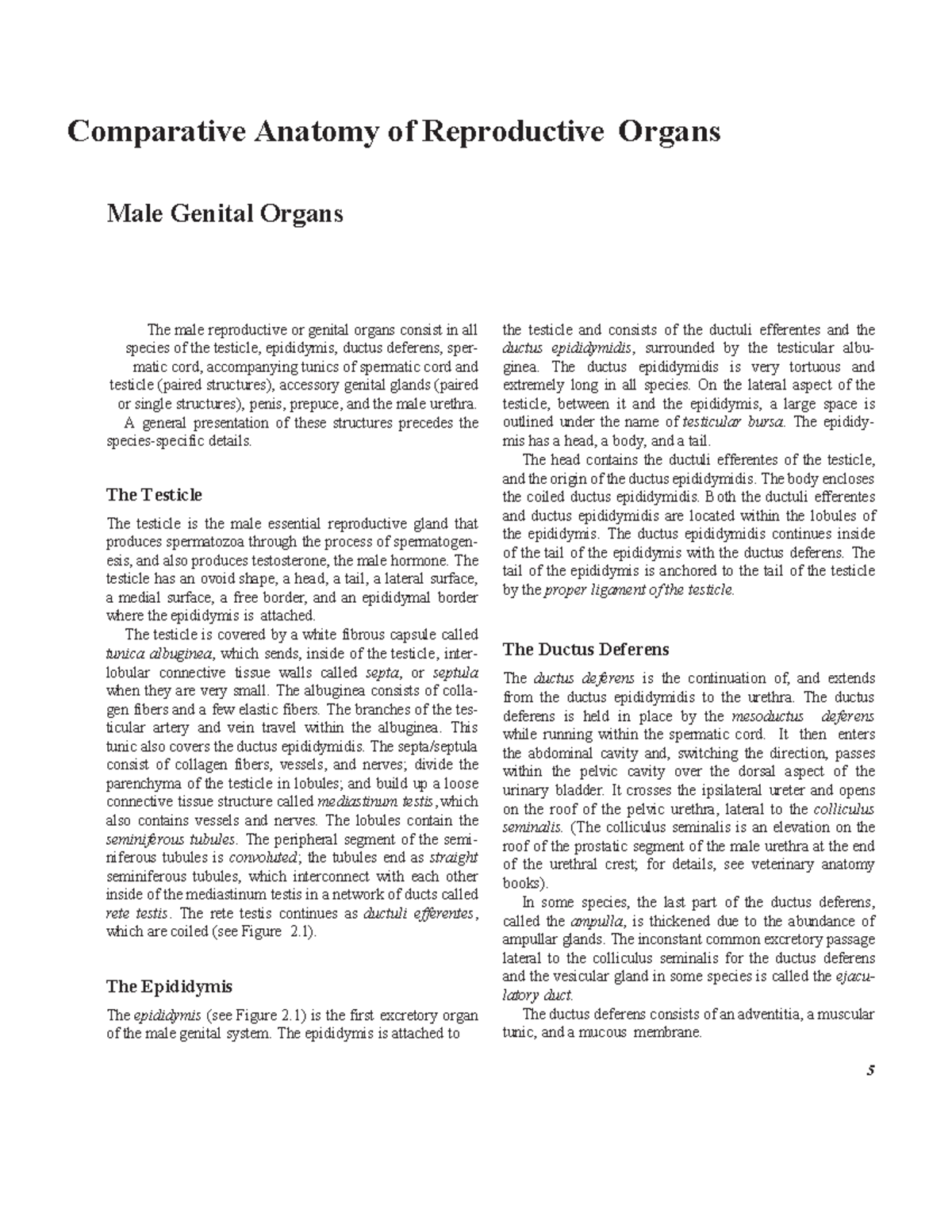 Comparative Reproductive Anatomy - Comparative Anatomyof Reproductive ...