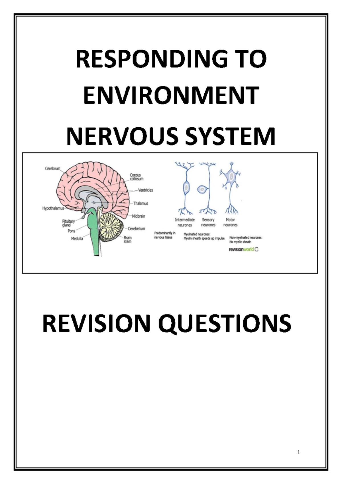 Responding TO Environment Nervous System 2018 - RESPONDING TO ...