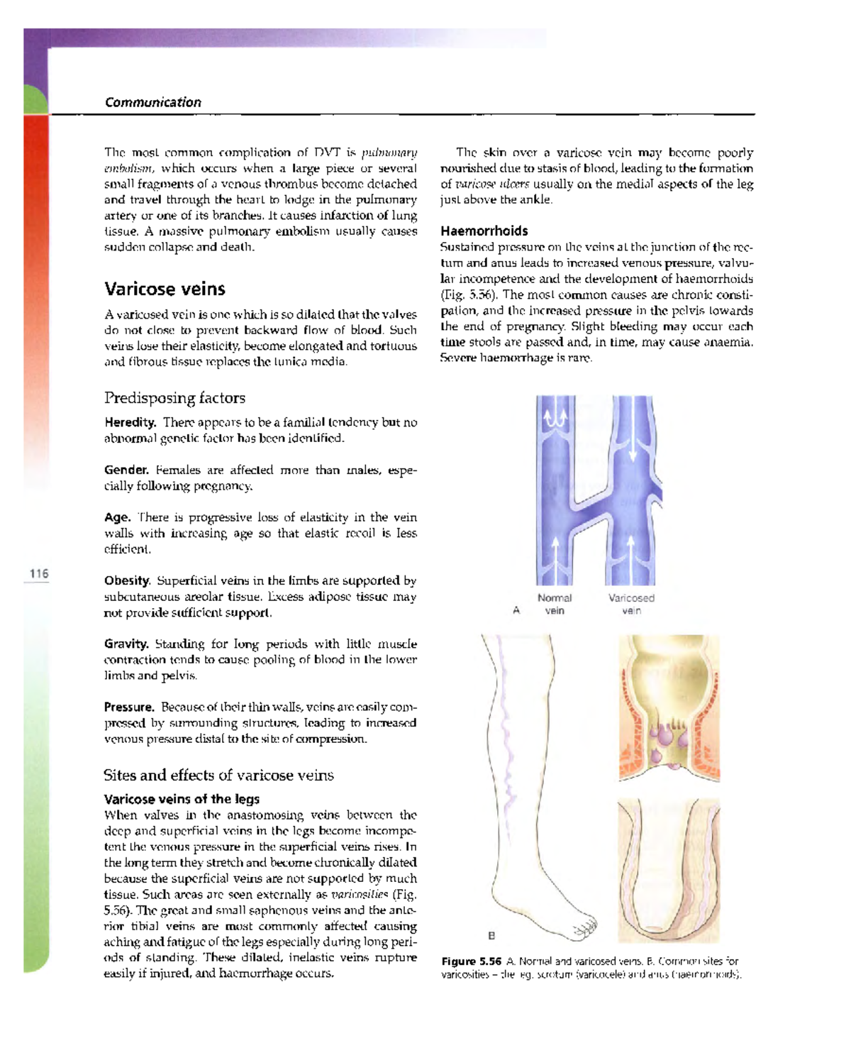 Human-Anatomy and Physiology 58 - Communication The most common ...
