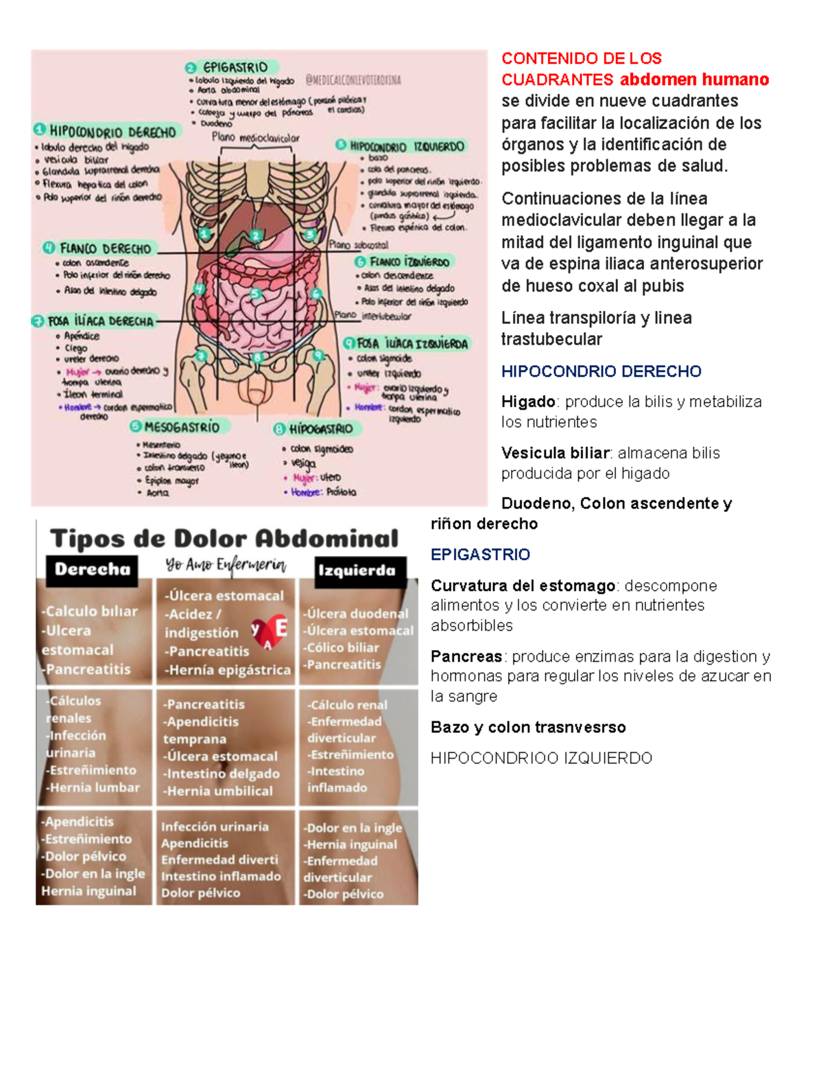 CASO 1- Ulcera Peptica Y ERGE - CONTENIDO DE LOS CUADRANTES abdomen ...