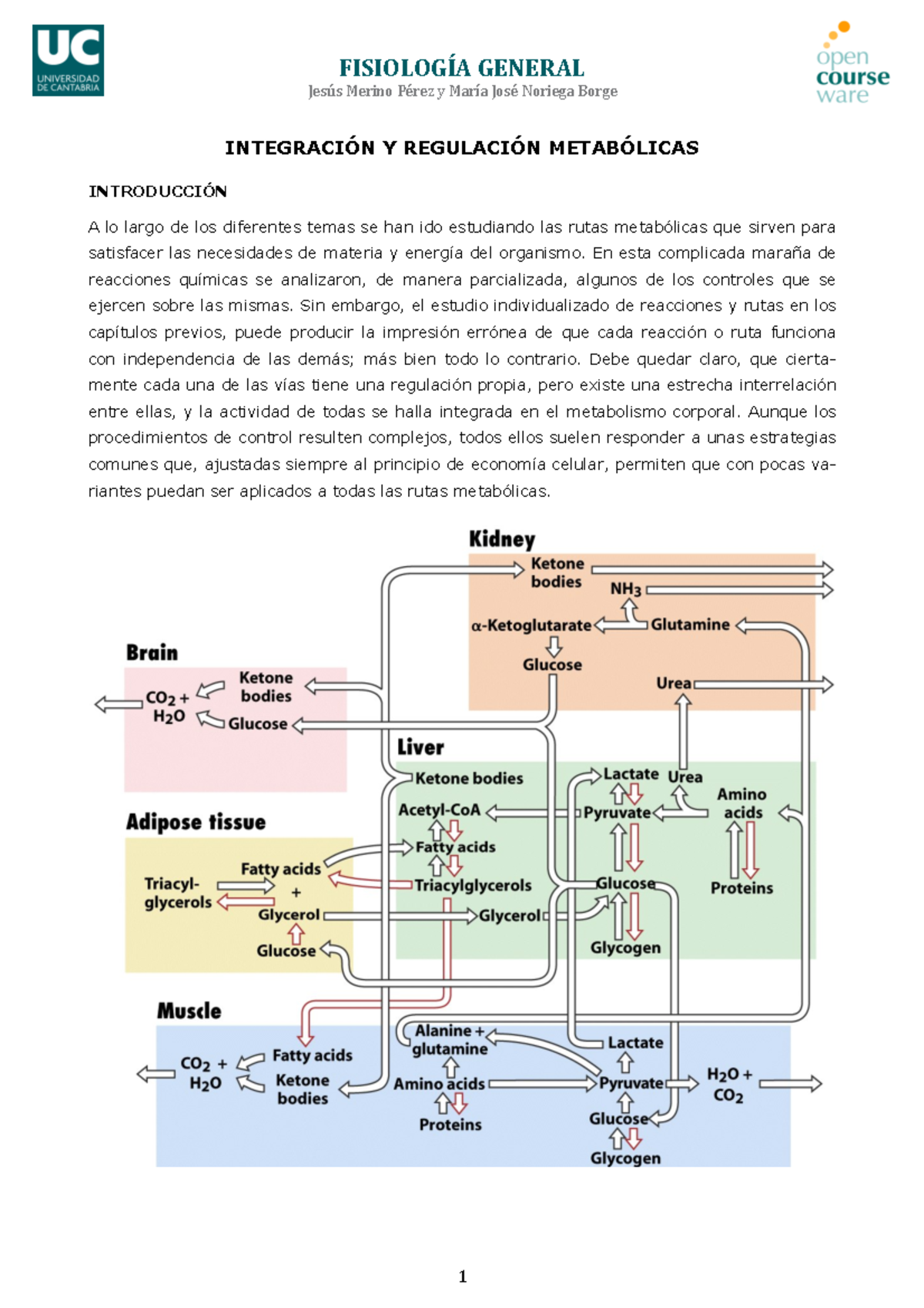 Tema 6-Bloque I-regulacion hormonal e Integracion metabólica - Jesús ...