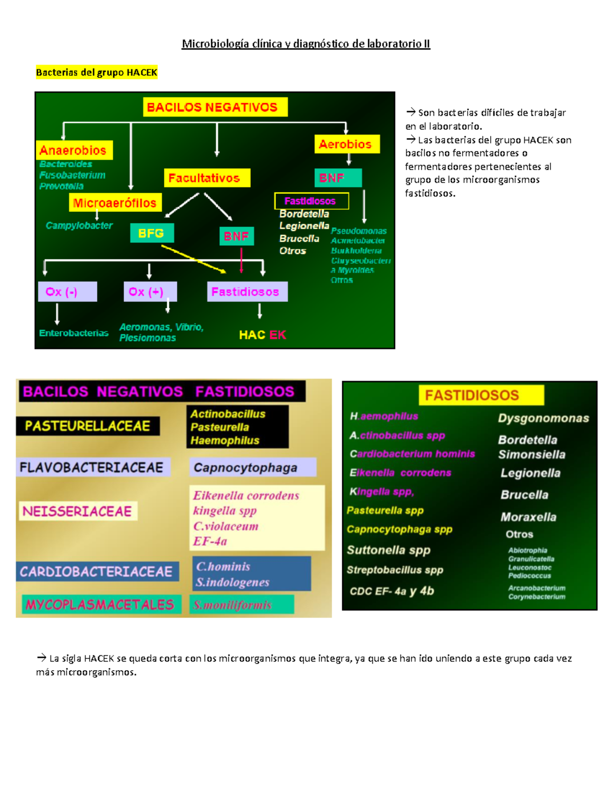 Bacterias del grupo HACEK - Microbiología clínica y diagnóstico de ...