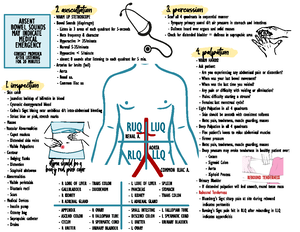 Anterior Thorax Exam - 3. percussion 4. respiratory auscuttation Helps ...