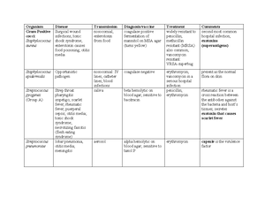 Table for G-negative bacteria - Gram negative: Spirochetes Treponema ...