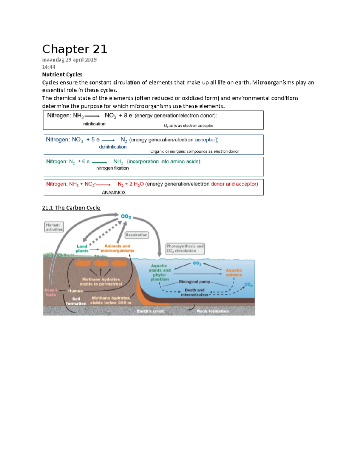 Chapter 21 - Lecture notes - Chapter 21 maandag 29 april 2019 14 ...