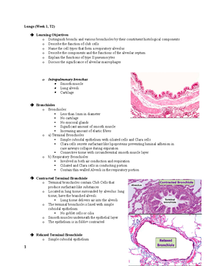Cardiovascular I 2022 - for anatomy - MEDIASTINUM: Image Credit: The ...