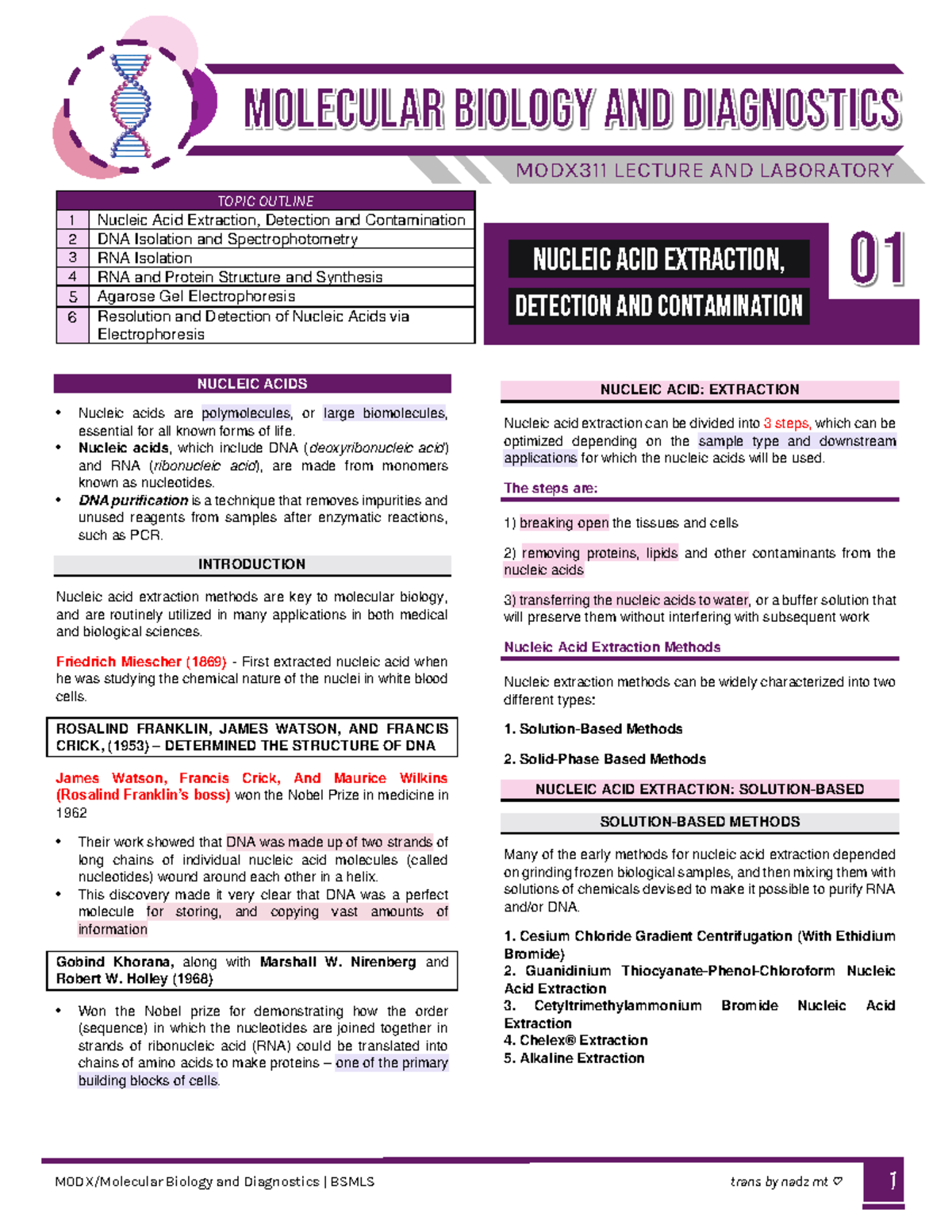MODX Molbio ( Midterms) Transes - NUCLEIC ACIDS Nucleic acids are ...