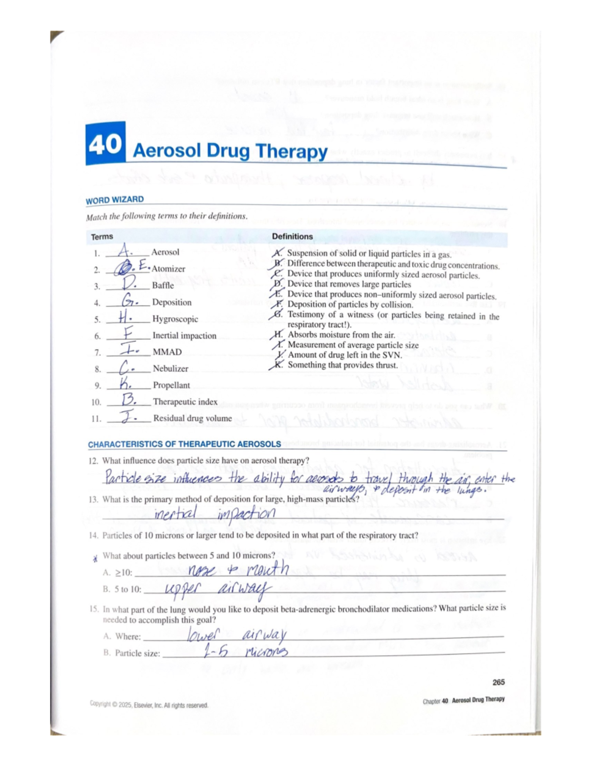 Egan's 40 workbook - 40 Aerosol Drug Therapy WORD WIZARD Match the ...