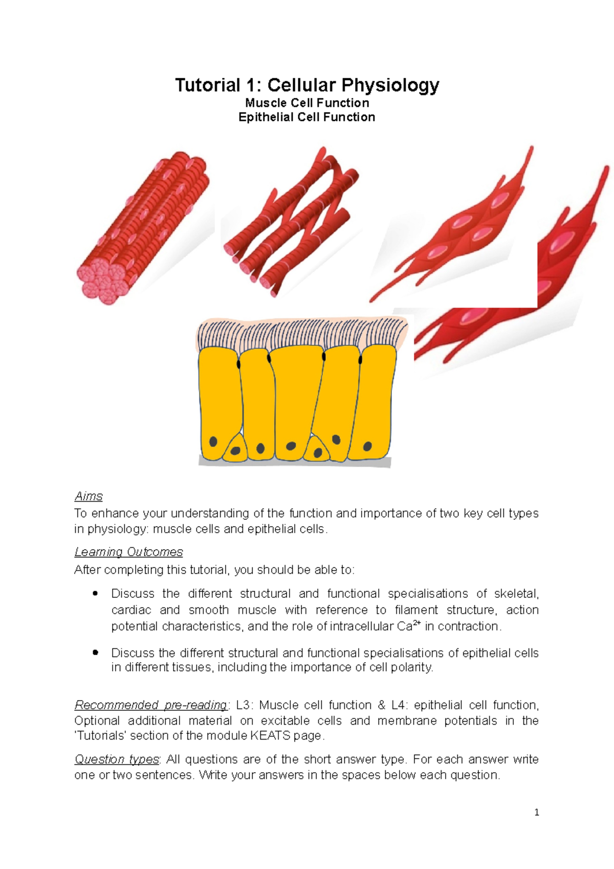 Tutorial 1 worksheet - Cellular Physiology-student version - Tutorial 1 ...