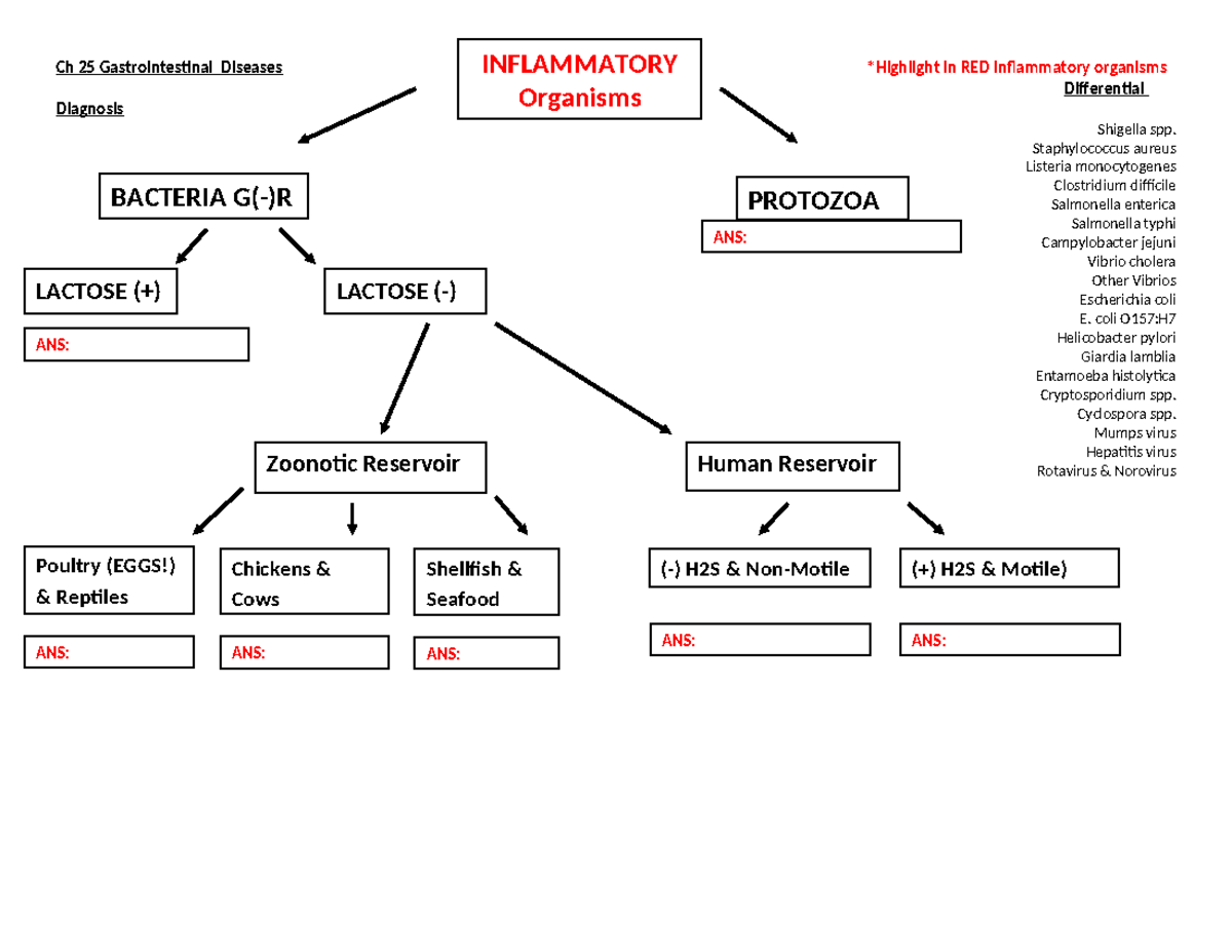 BIO 226 Ch 25 GI Diff Diagnosis Worksheet Spr2024 - Ch 25 ...