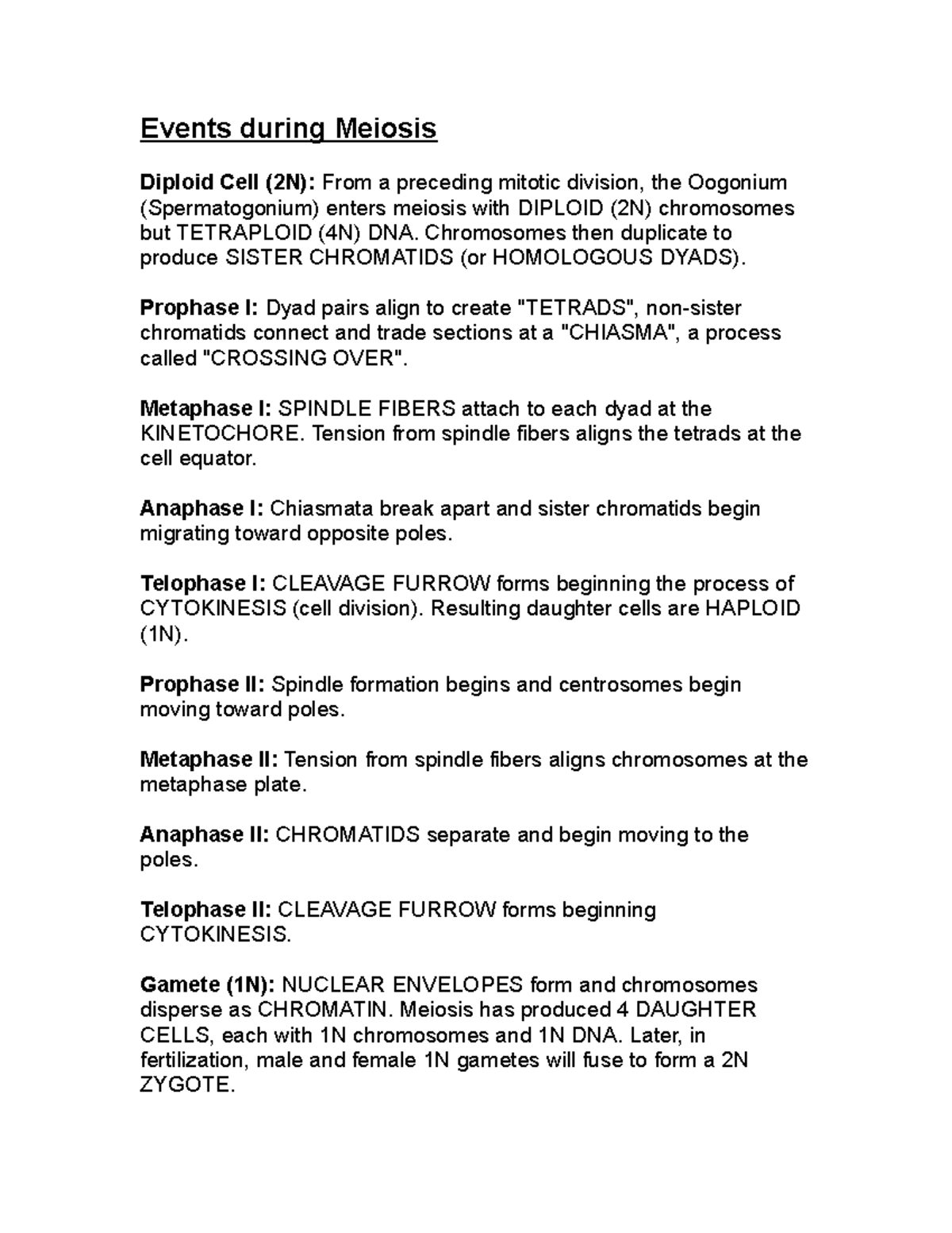 Events during Meiosis - Events during Meiosis Diploid Cell (2N): From a ...