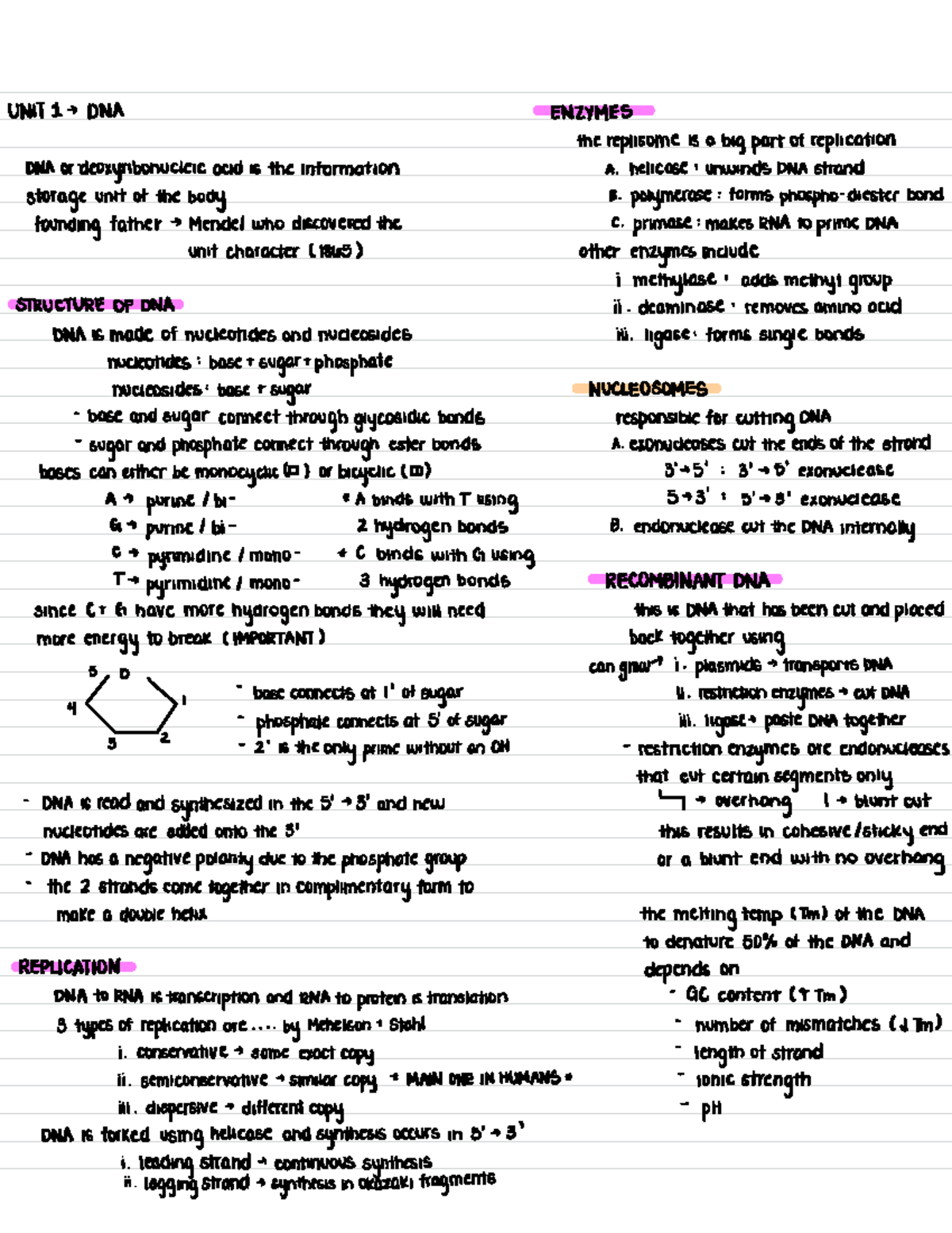 Molecular Diagnostics - Unit 1 - UNIT 1 -> DNA ENIXMES the replisome is ...