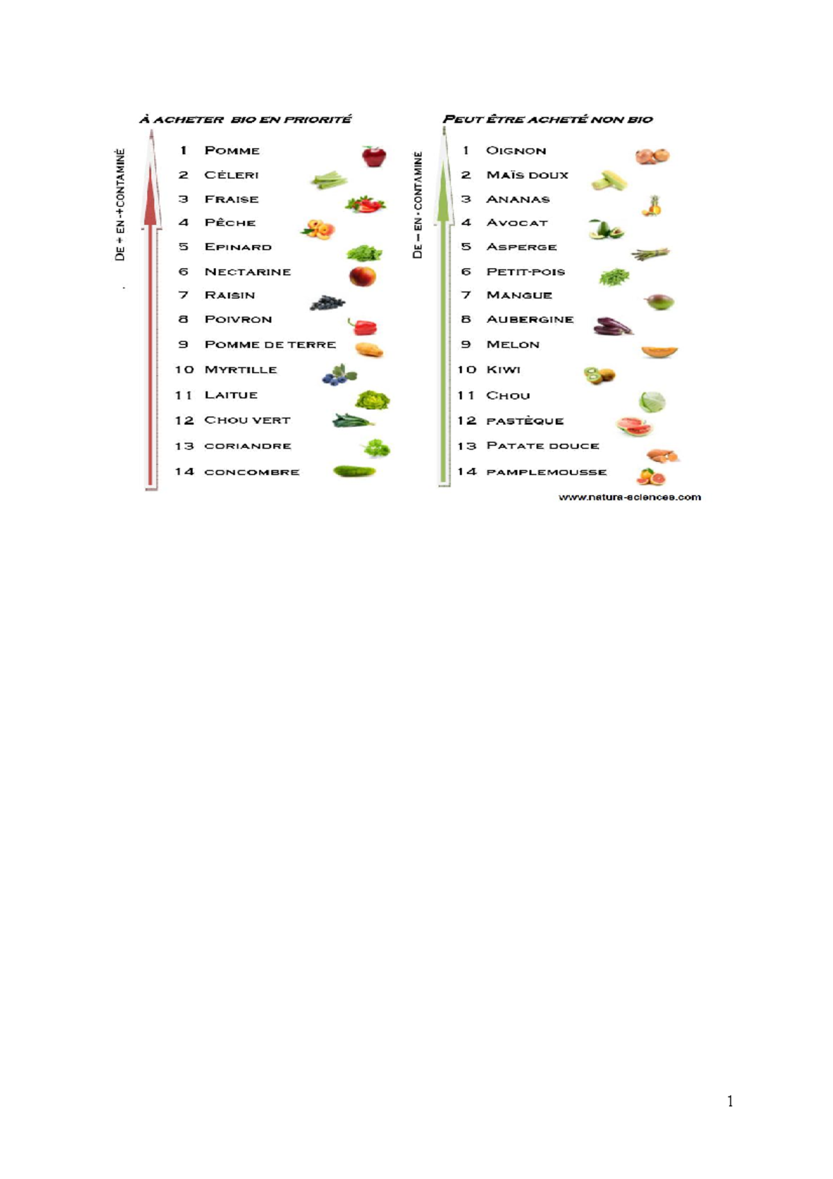 Les fruits et les legumes - Basic french - Studocu