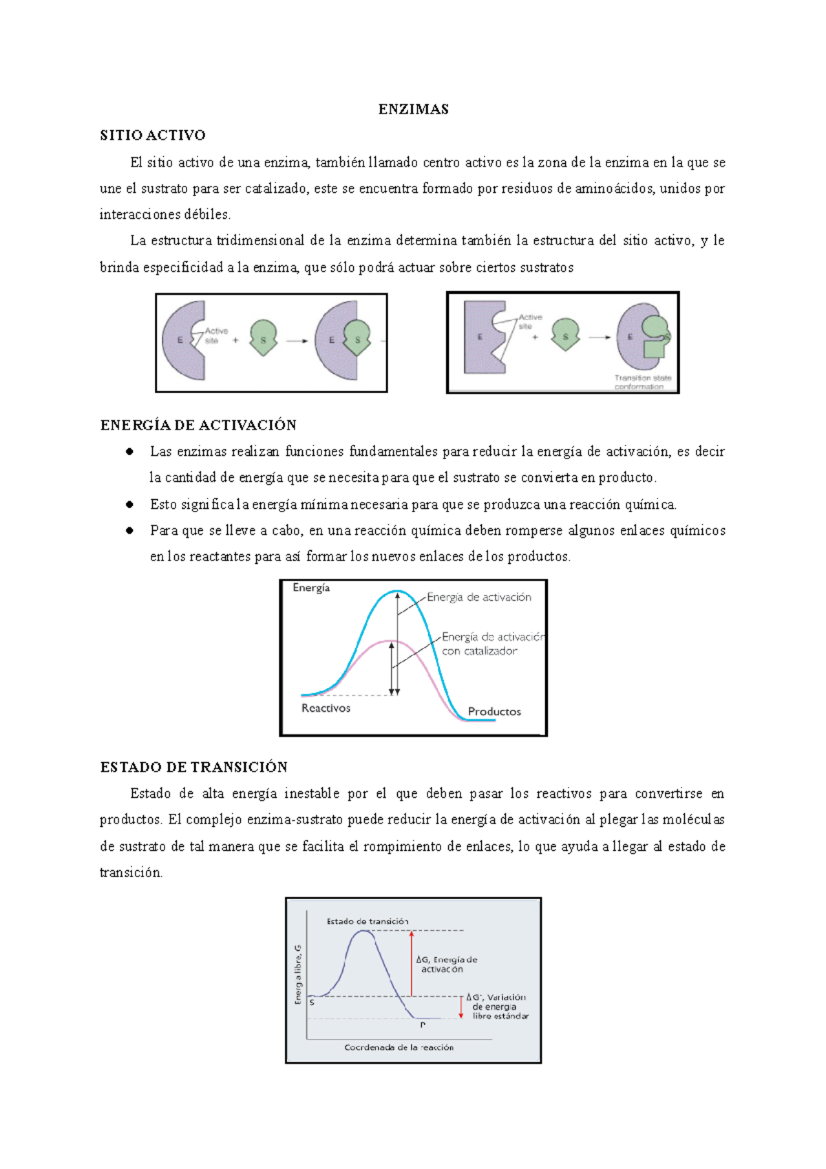 Enzimas - ENZIMAS SITIO ACTIVO El sitio activo de una enzima, también llamado centro activo es ...