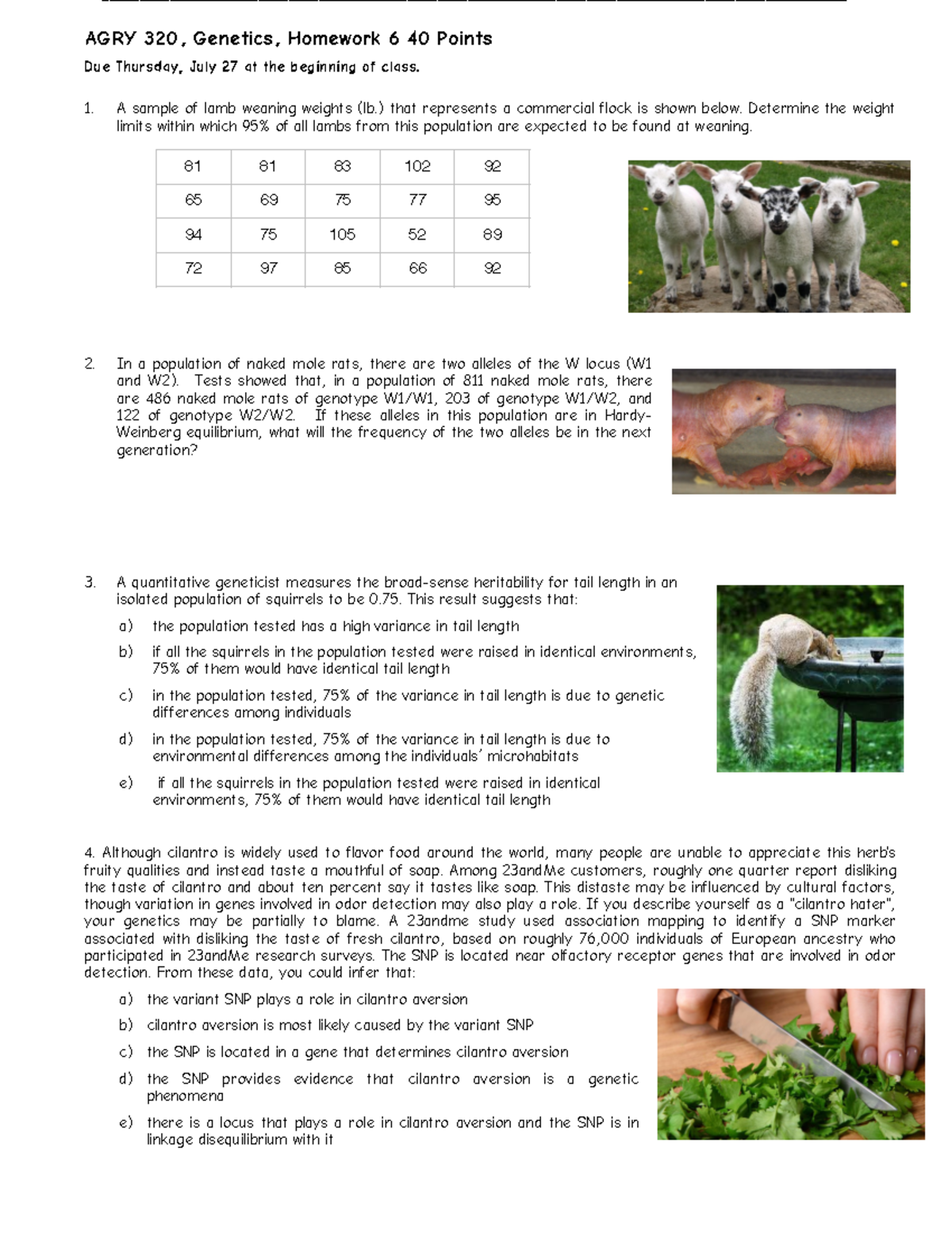 AGRY 320- Homework 6 - AGRY 320, Genetics, Homework 6 40 Points Due ...