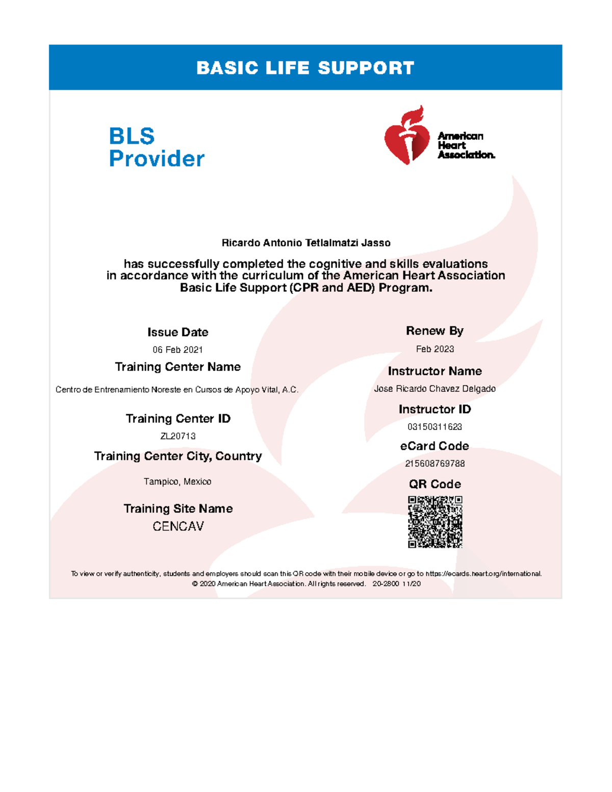 BLS E-Card - no aplica - BASIC LIFE SUPPORT BLS Provider has ...