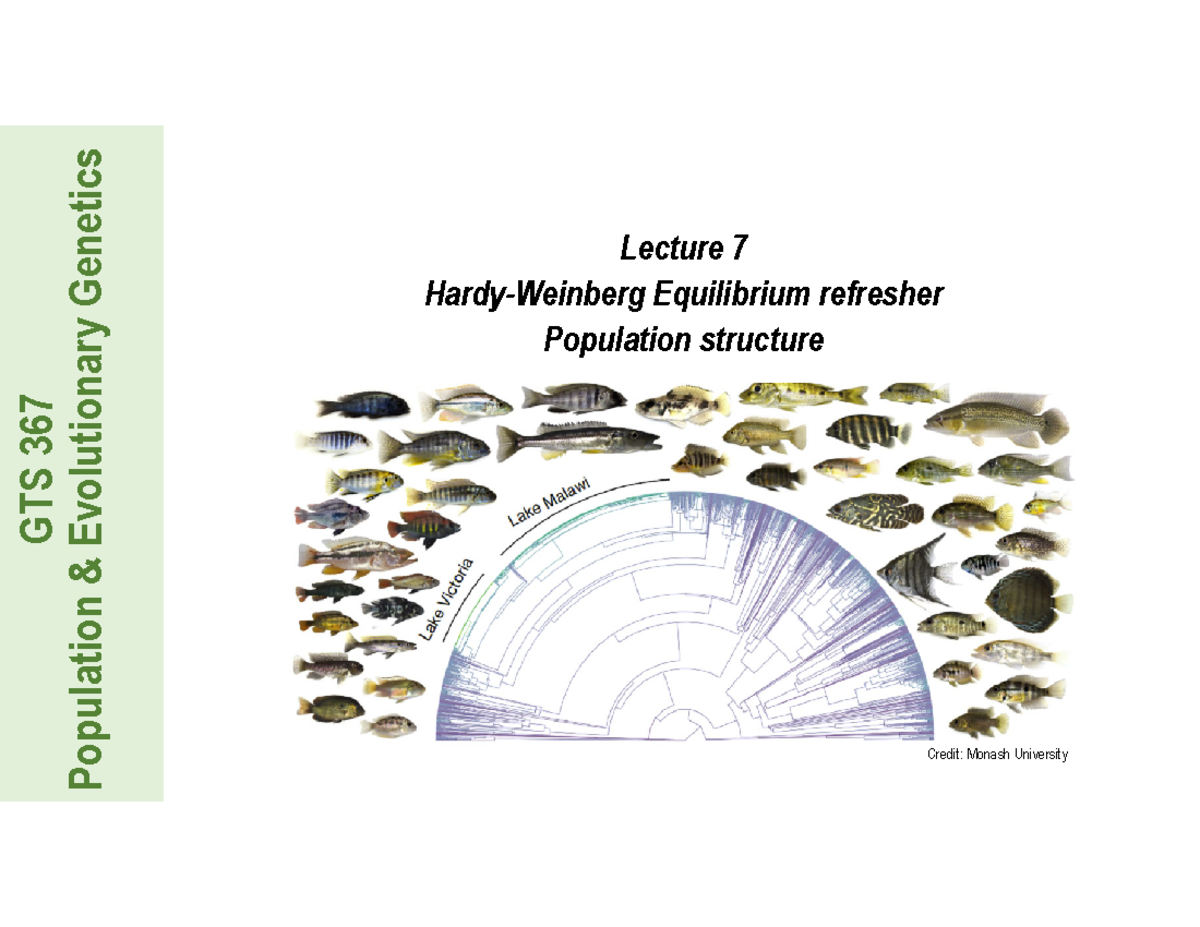 Lecture 7 - GTS 367 - GTS 367 Population & Evolutionary Genetics Lecture 7 Hardy-Weinberg - Studocu