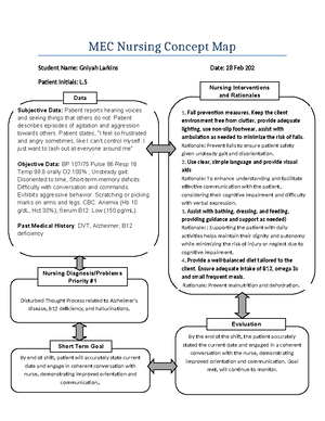 MEC Concept Map - Medication Template - 1 MEC Nursing Concept Map ...