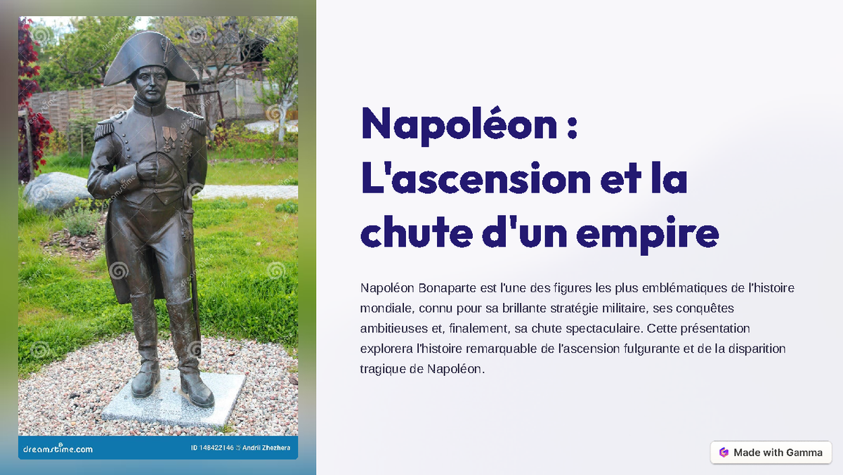 Napoleon Lascension Et La Chute Dun Empire Napoléon L Ascension Et