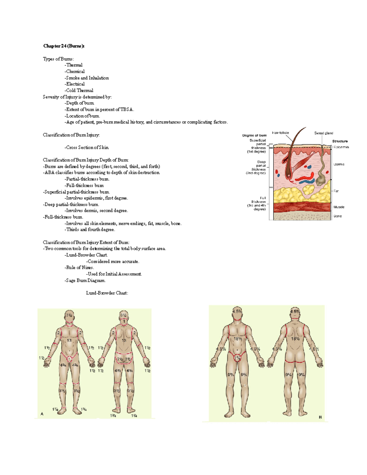 Burns - Lecture Notes - Chapter 24 (Burns): Types of Burns: -Thermal ...