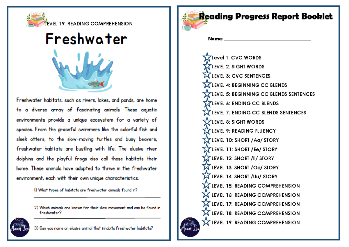 LEA Reading Progress Report booklet - LEVEL 19: READING COMPREHENSION ...