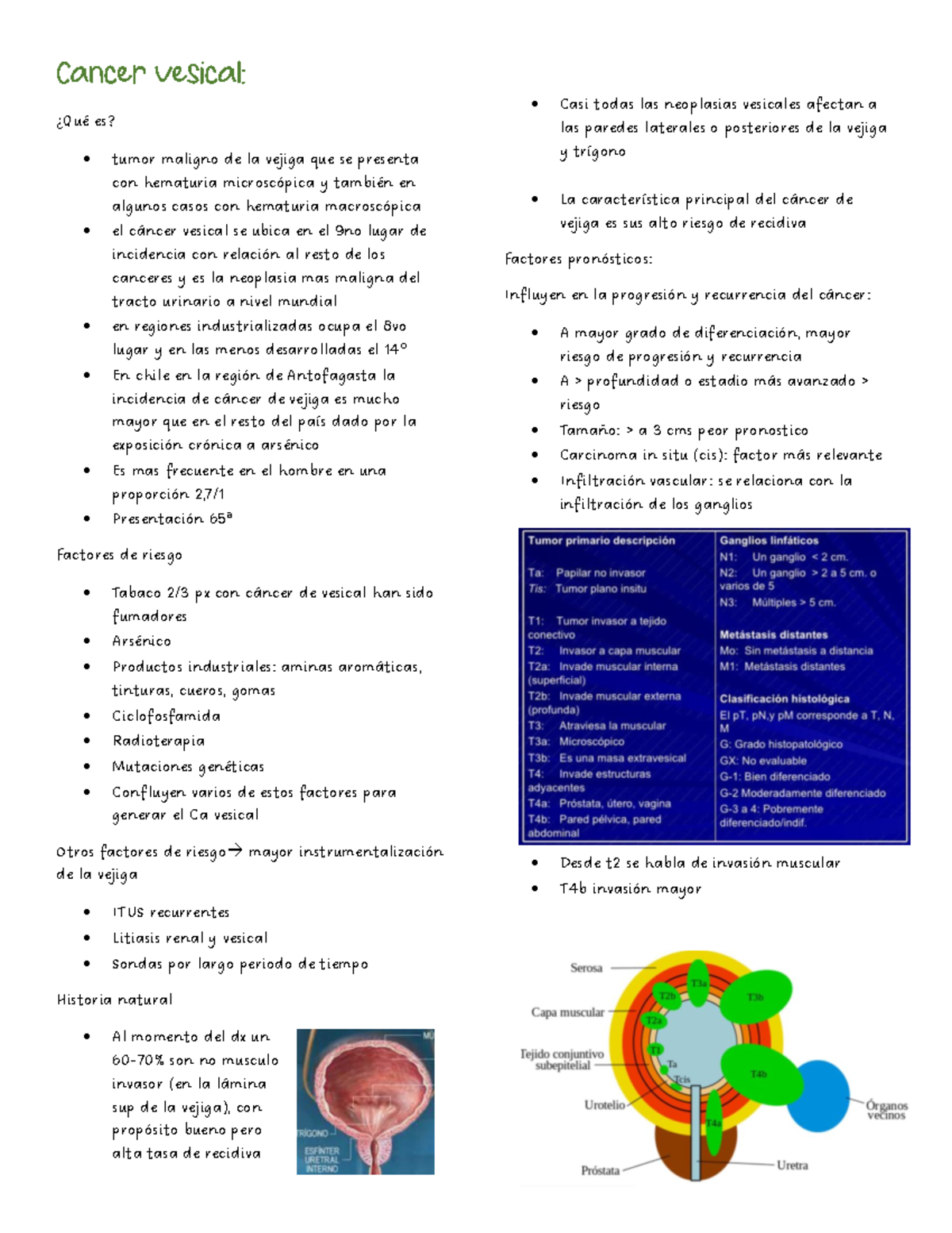 Cancer vesical - ¿Qué es? - tumor maligno de la vejiga que se presenta ...