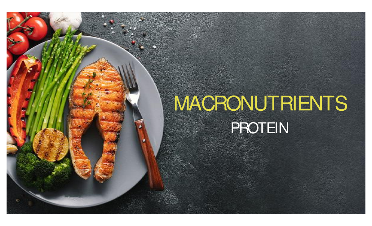 6-Macronutrient-Protein - MACRONUTRIENTS PROTEIN PROTEIN t aken f rom t ...