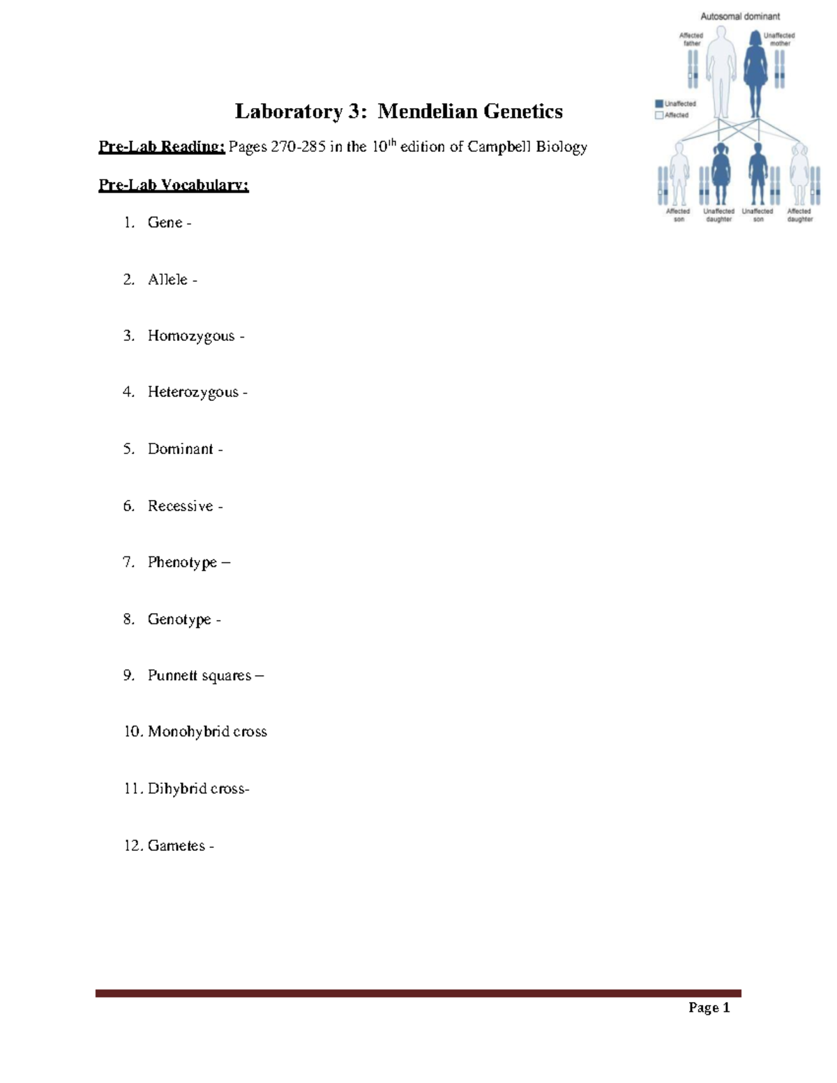 Mendelian-Genetics-Activity - Laboratory 3: Mendelian Genetics Pre-Lab ...