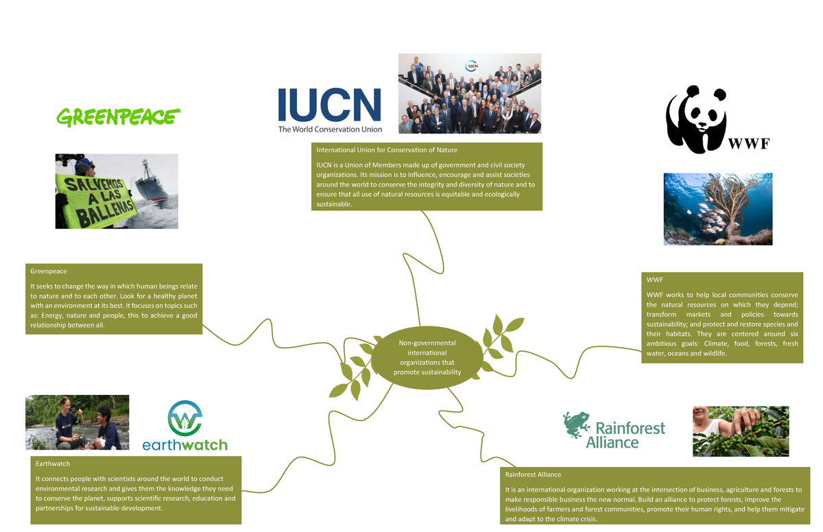Non-governmental international organizations that promote ...
