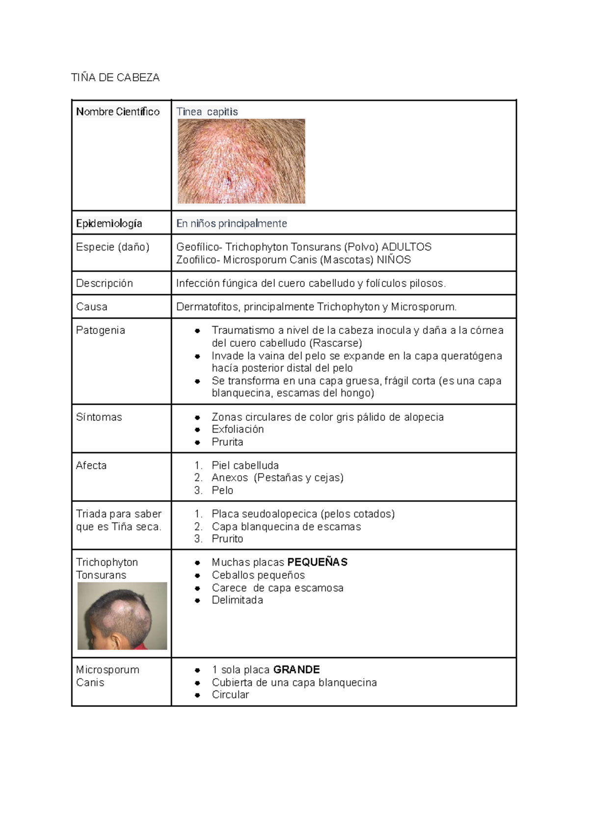 Microbiologia Clinica Resumenes - TIÑA DE CABEZA Nombre Científico ...