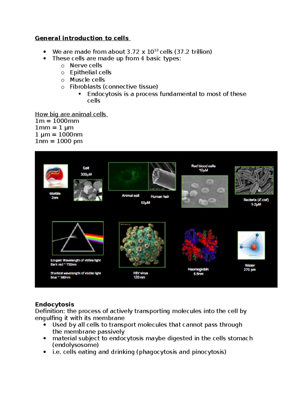 General introduction to cells - cells eating and drinking (phagocytosis ...