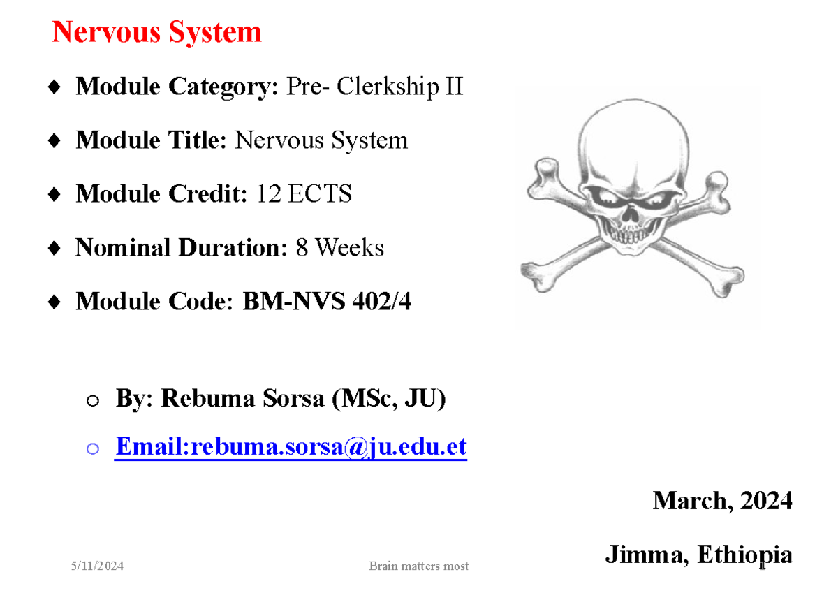 HUMAN SKULL ANATOMY - Nervous System ̈ Module Category: Pre- Clerkship ...