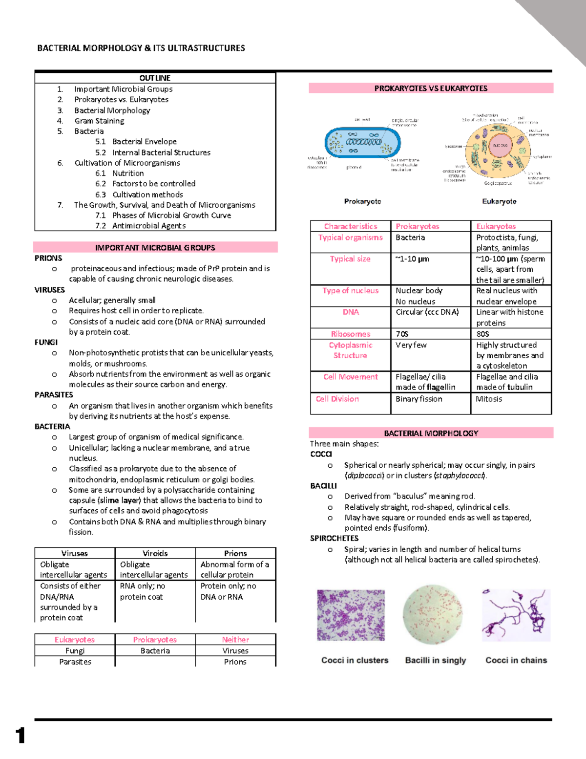 Bacterial Morphology - BACTERIAL MORPHOLOGY & ITS ULTRASTRUCTURES ...