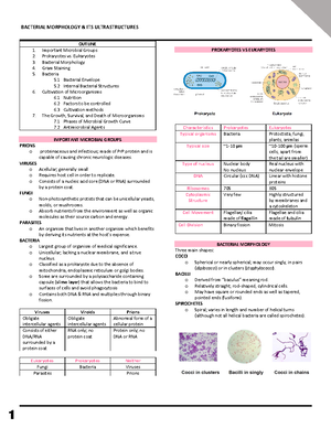Microbio- Compiled - .... - NOBHYM FAITH O. CEÑO | BSMT 4-3 1 MYCOLOGY ...
