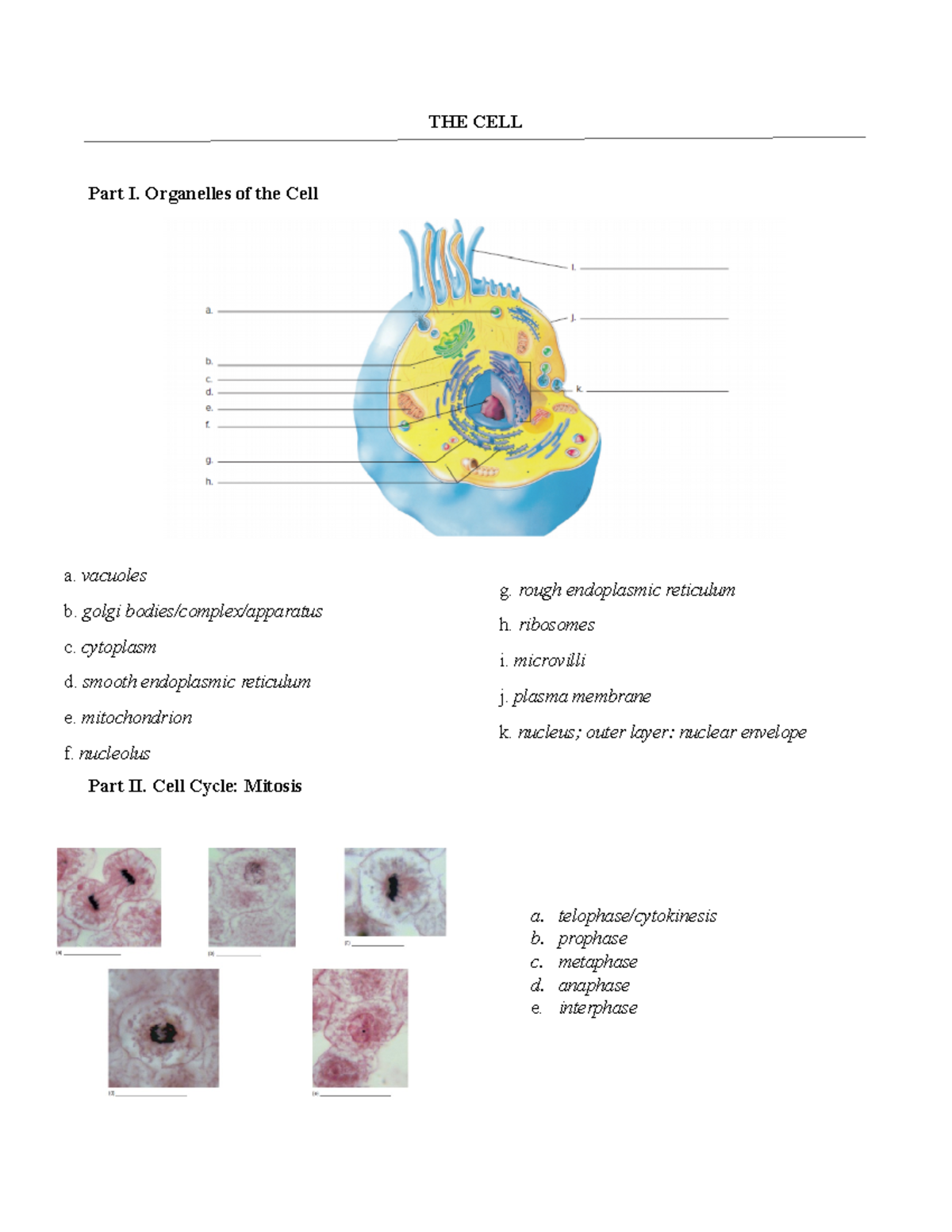 Cells and Tissues - Anatomy and Physiology - THE CELL Part I ...