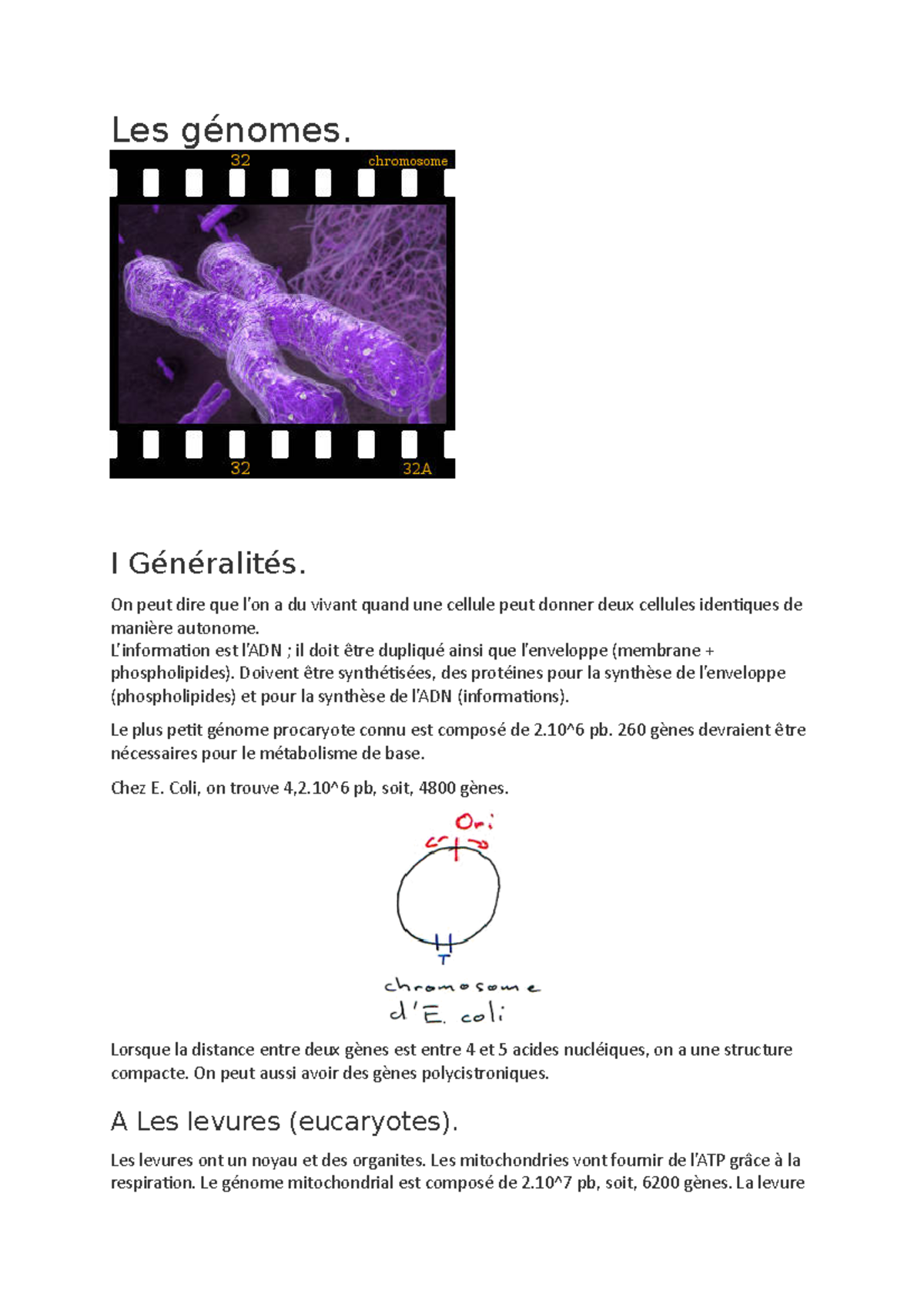 Fiche biomol - Résumé Biologie Moléculaire IV - Les I On peut dire que ...