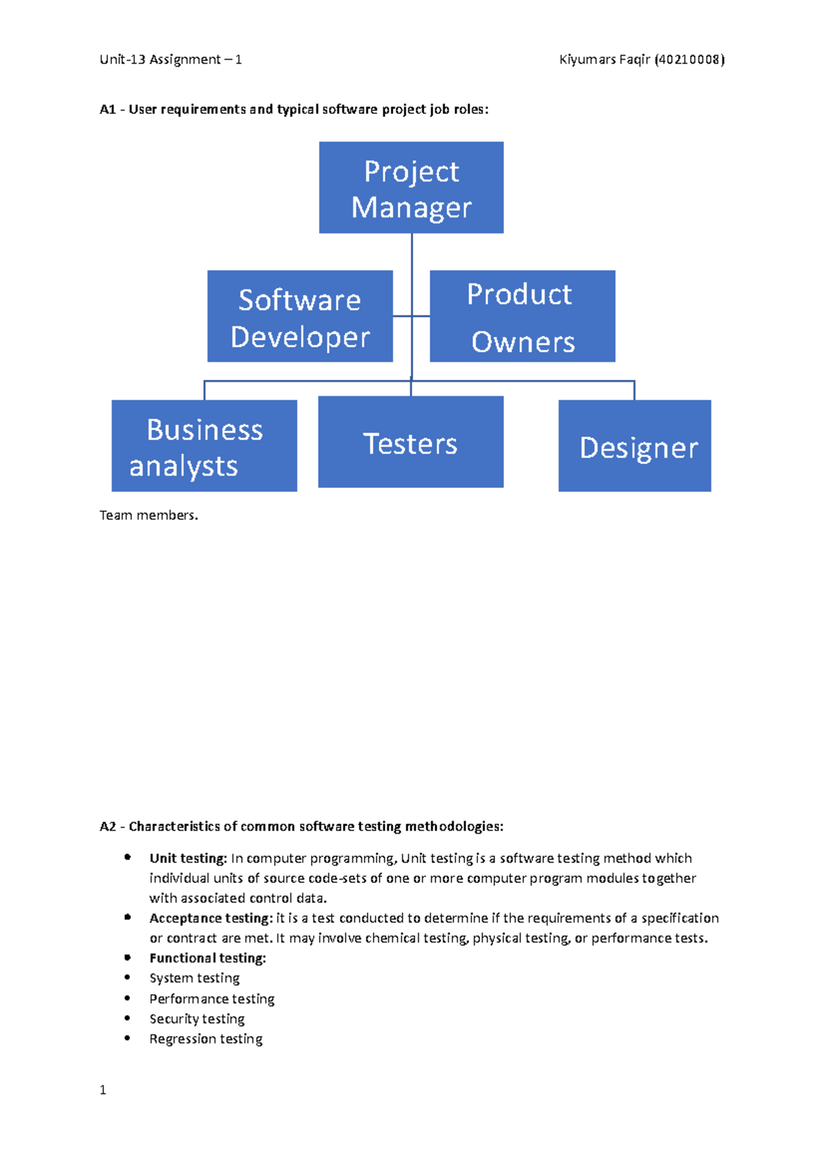 Unit-13 Software testing - Project Manager Business analysts Testers ...