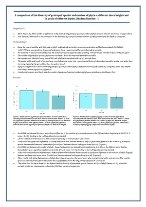 AQA A level History Coursework Workbook sample pages - My Coursework ...