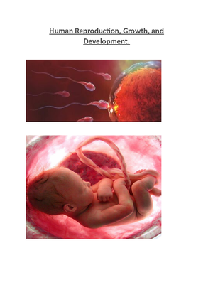 Unit 7 - Human Reproduction. (Access to midwifery, LearnDirect) - HUMAN ...