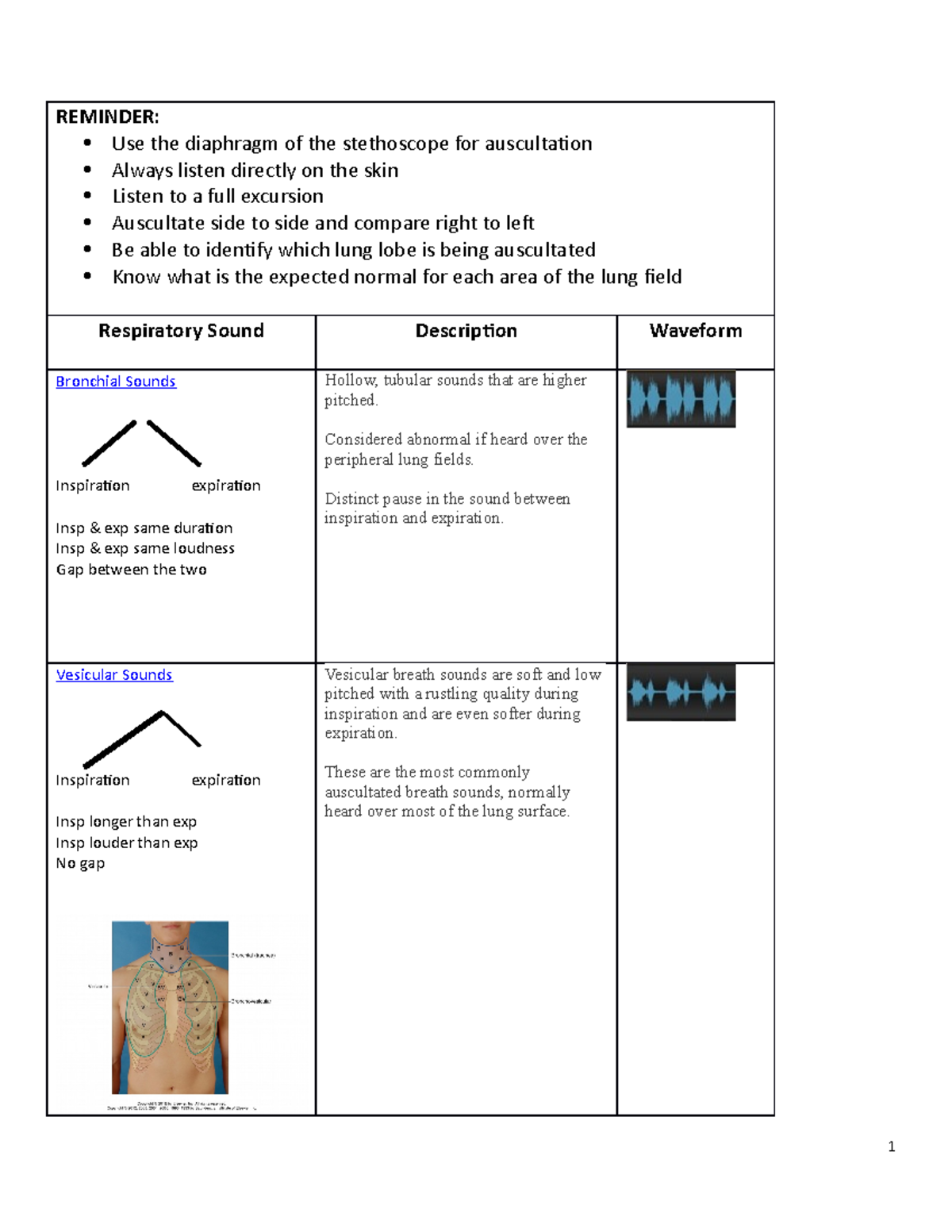 Respiratory sounds - notes - REMINDER: Use the diaphragm of the ...