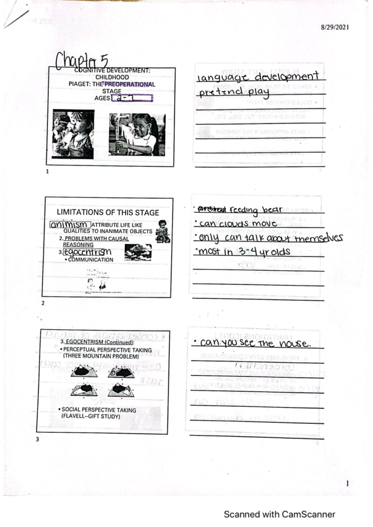 Ch5 cognitive development childhood - PSY 2300 - Studocu