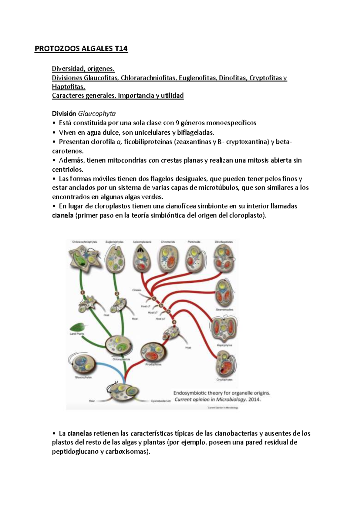Tema 14 - Protozoos Algales - Warning: TT: undefined function: 32 Warning: TT: undefined ...