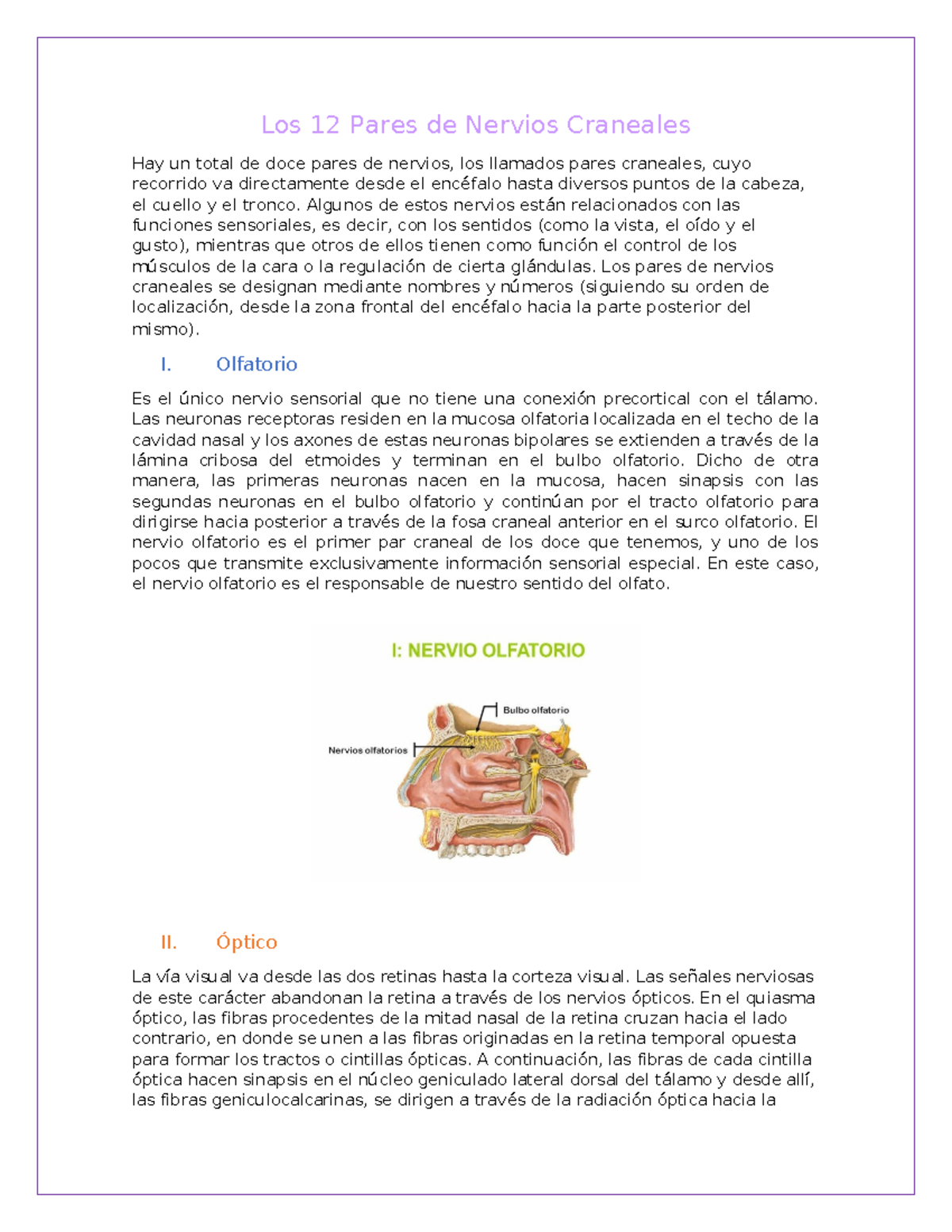 12 Pares de Nervios Craneales - Los 12 Pares de Nervios Craneales Hay ...