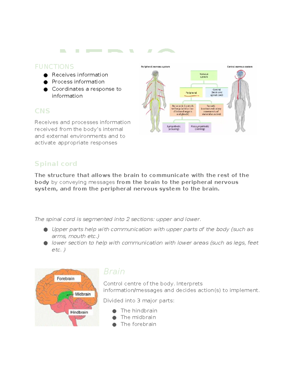 Psychology Unit 1 - FUNCTIONS ####### Receives information ...