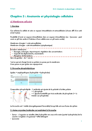 Le système digestif - BPHNP : Système digestif CHAPITRE 1 ...