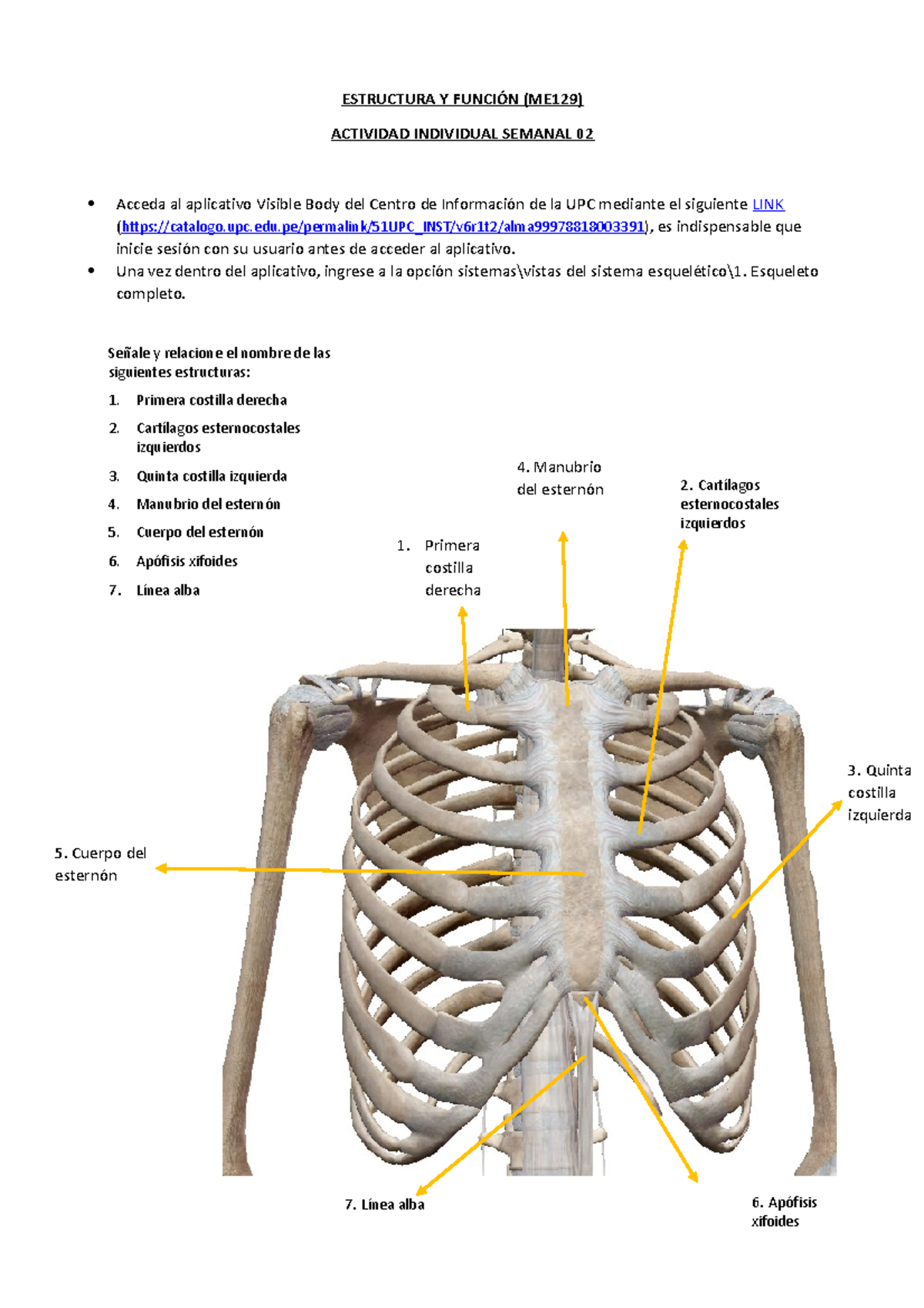 ME129 Ey F Tarea Sem02 22 - ESTRUCTURA Y FUNCIÓN (ME129) ACTIVIDAD ...