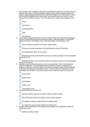 100 TOP Histology Multiple Choice Questions and Answers pdf - Medical ...