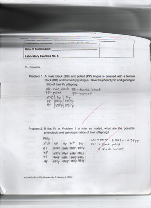 Lab Exer 5 Reproductive System - Animal Science - Studocu